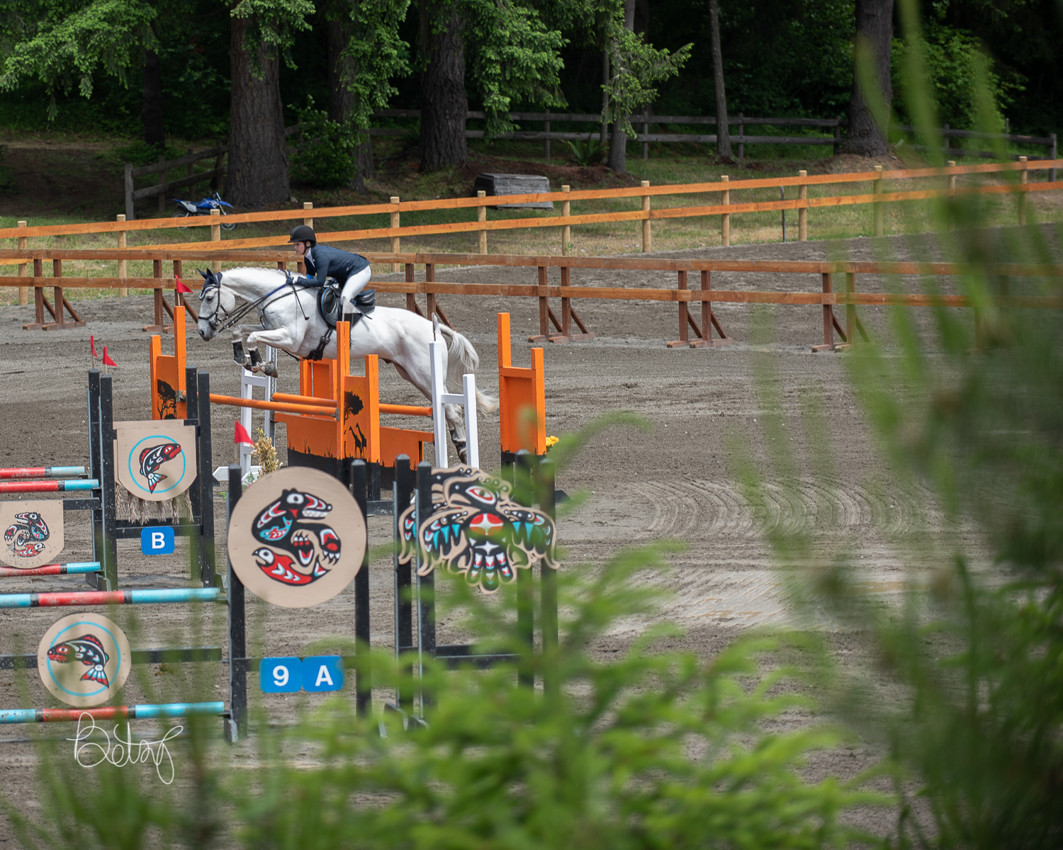 Photo Set: Aspen Farms Horse Trials – Bits And Bays